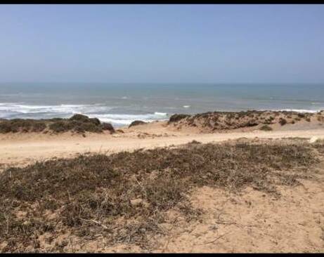 Vente Terrain Maroc | Particulier à Particulier - PAP